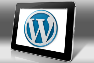 Топ самых «невезучих» доменов .BY от HostFly.by